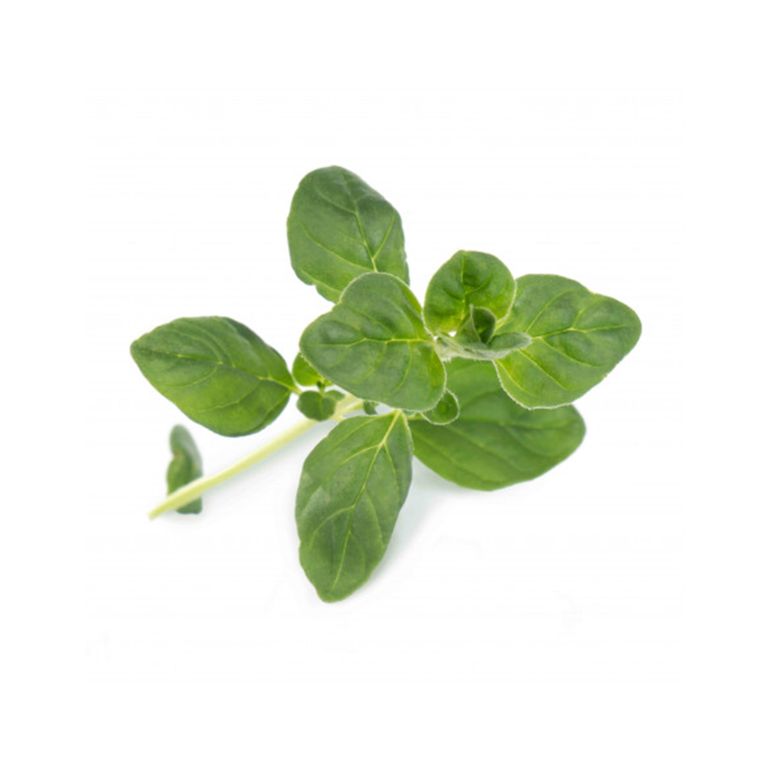Veritable Oregano Lingots | Juicer.co.uk