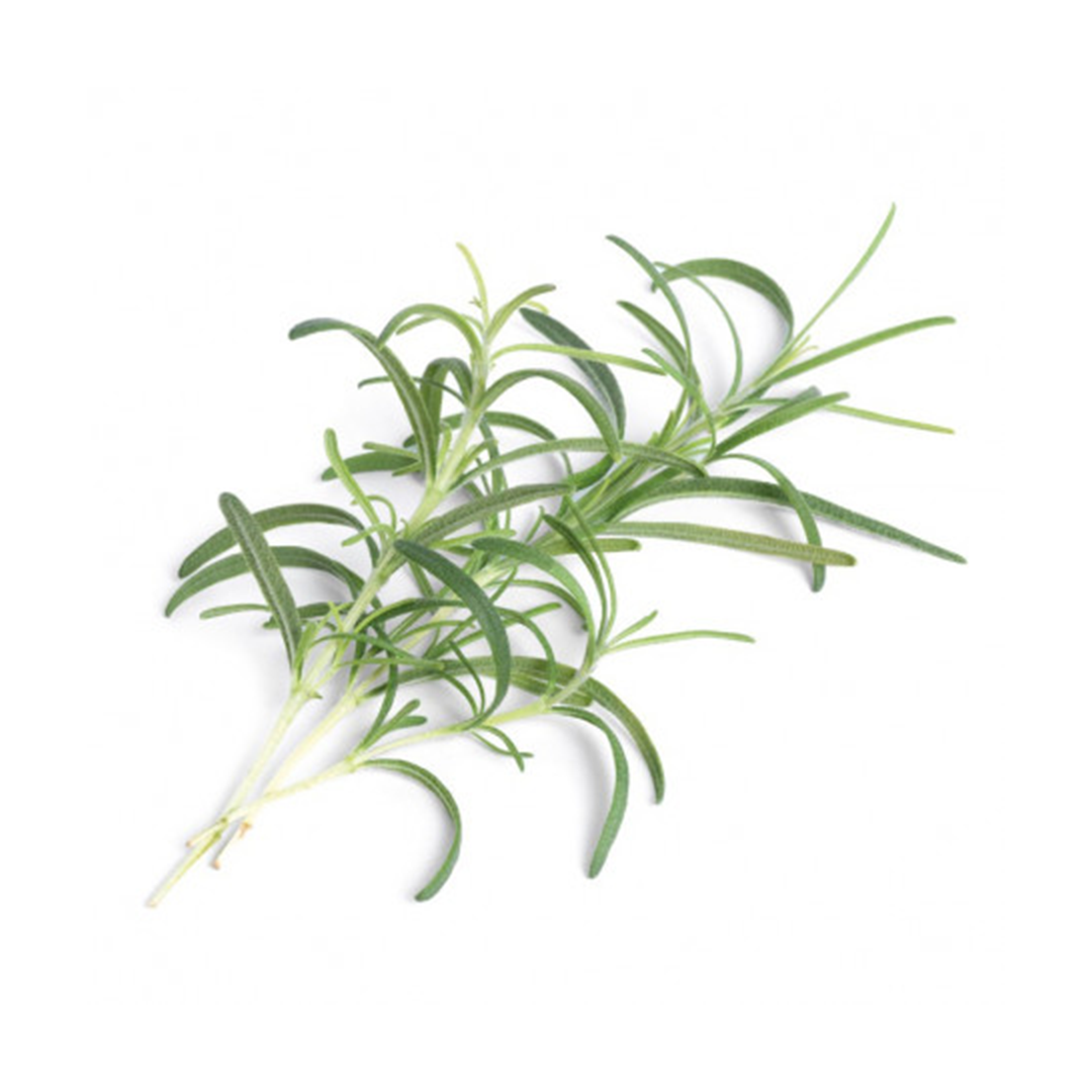 Veritable Rosemary Lingots | Juicer.co.uk