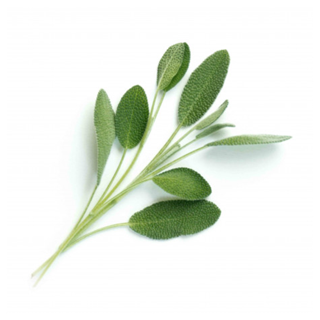 Veritable Sage Lingots | Juicer.co.uk