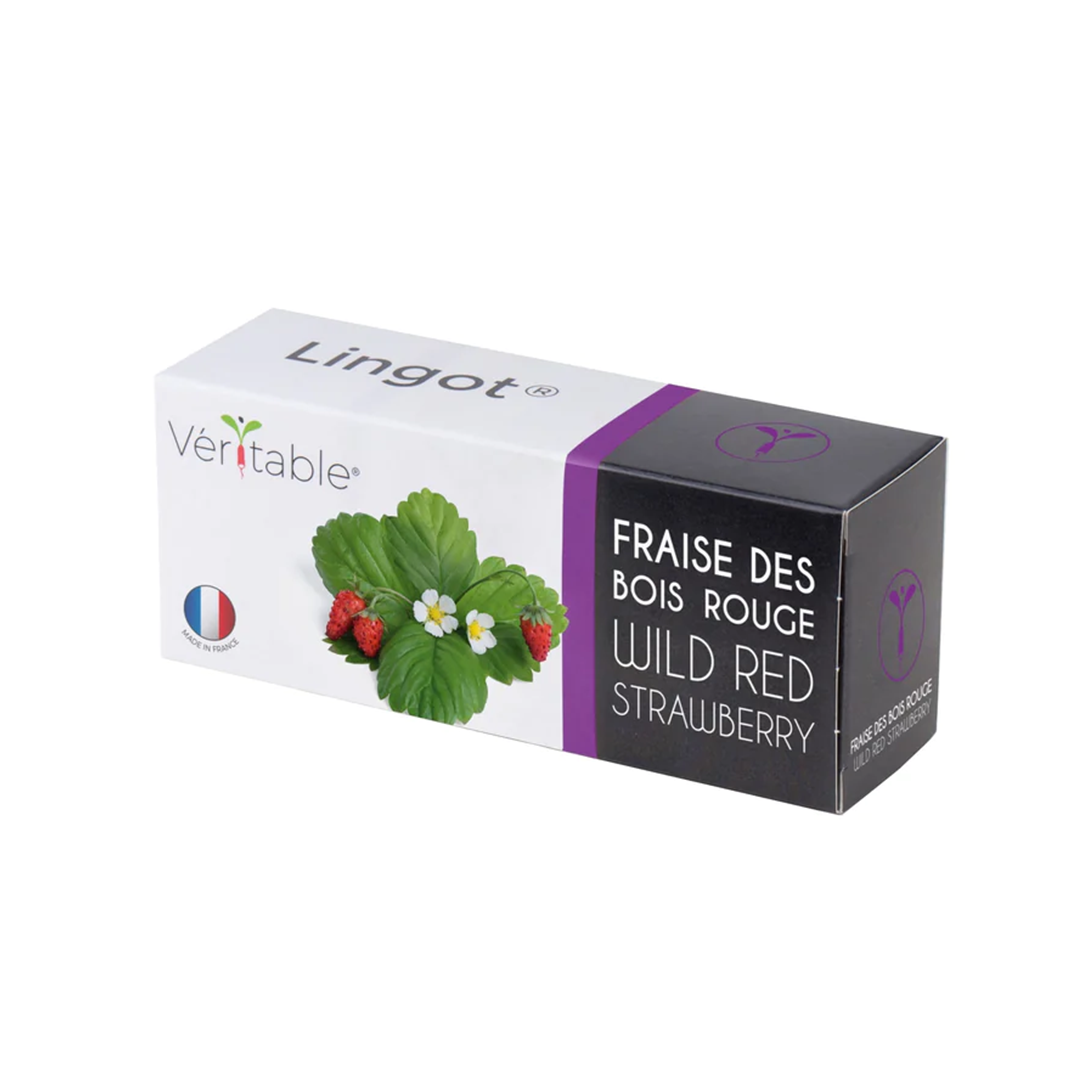 Veritable Wild Red Strawberry Lingots | Juicer.co.uk