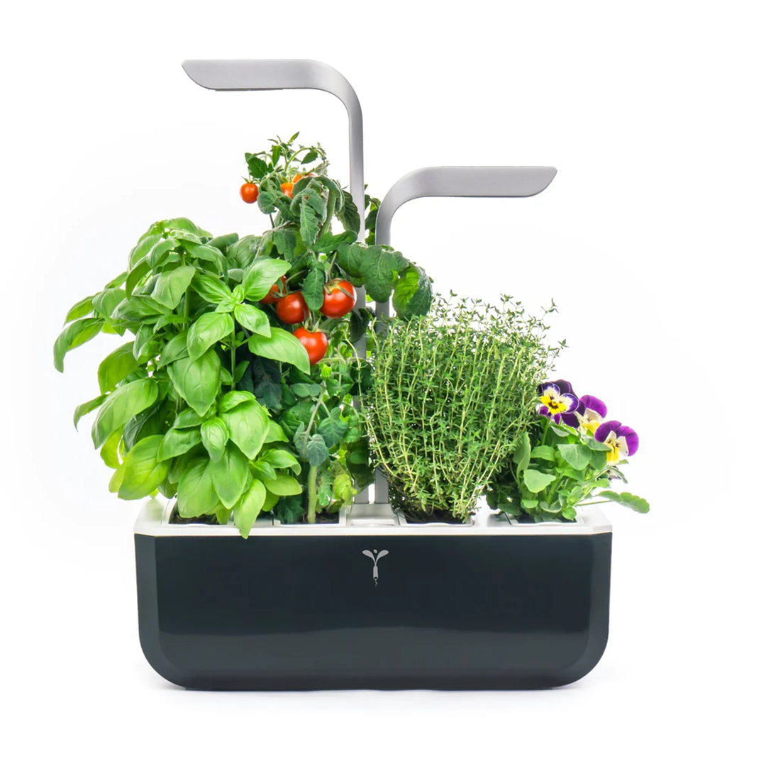 Veritable SMART Smart Home Garden in Soft Black | Juicers.co.uk