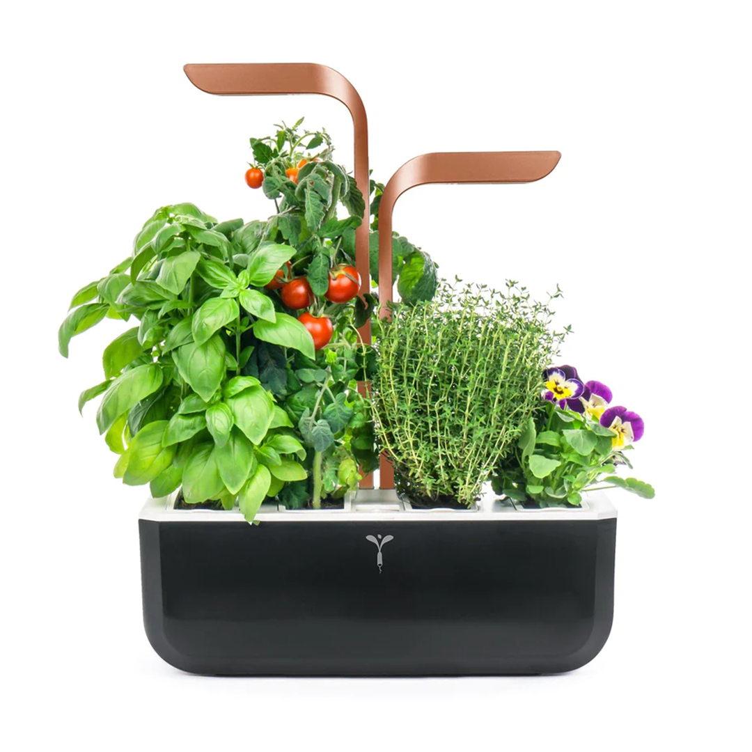 Veritable SMART Smart Home Garden in Copper | Juicers.co.uk