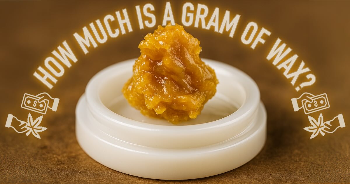 How Much Is a Gram of Wax? | Price 1 Gram of Wax - E-Nail.com