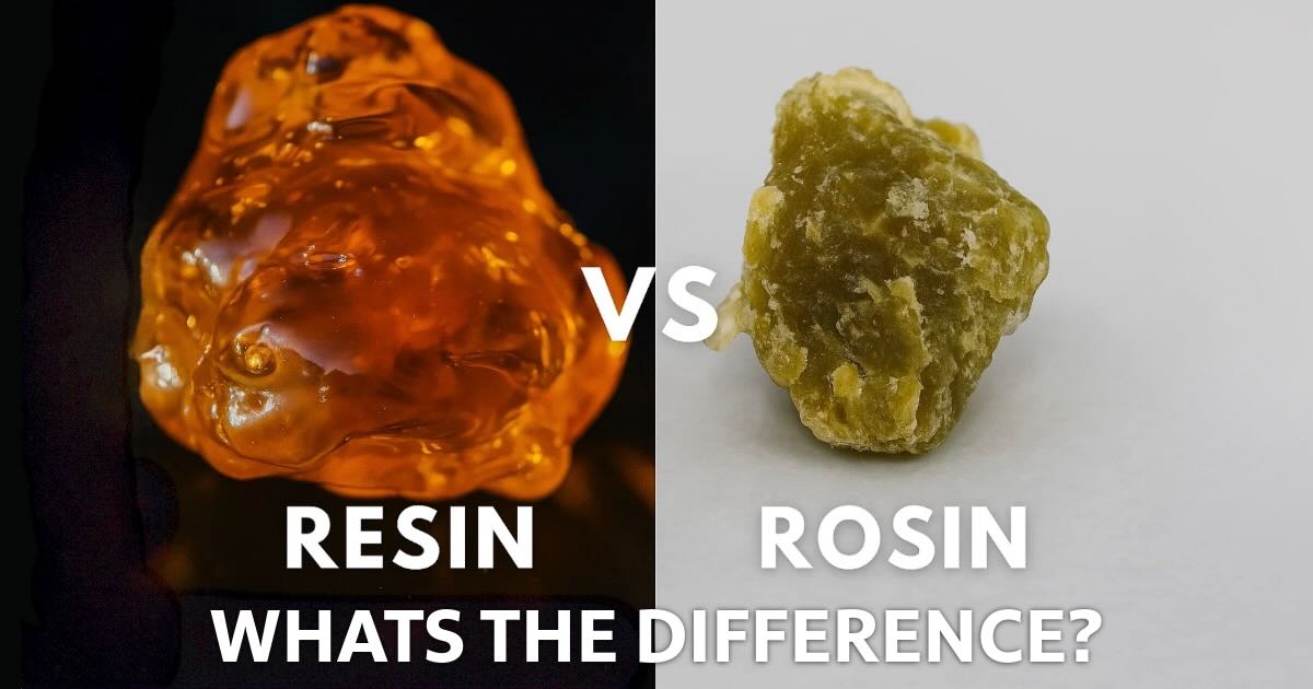 Rosin Vs Resin: Whats The Difference? | Live Resin - E-Nail.com
