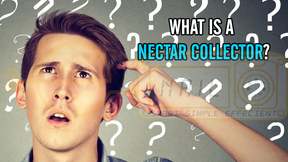 What is a Nectar Collector? | Types of Nectar Collectors - E-Nail.com