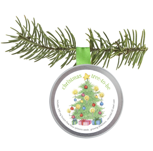 Kid's Garden Pail Gift Box | Christmas Tree - Potting Shed Creations, LTD