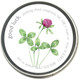 Garden Sprinkles Good Luck Clover - Potting Shed Creations, LTD