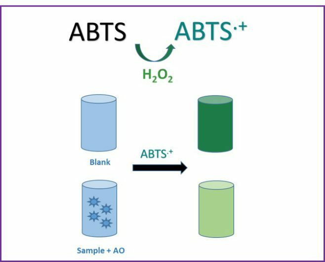 ABTS Antioxidant Capacity Assay Kit | BQC-KF01002-100