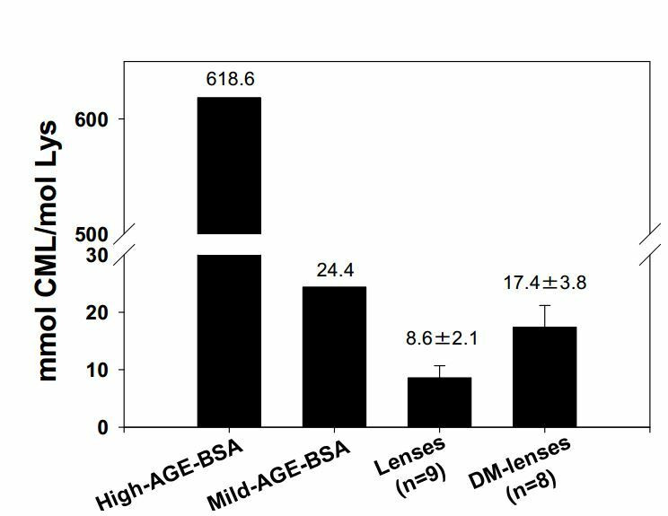 Mild-AGE-BSA | CSR-AGE-GP05