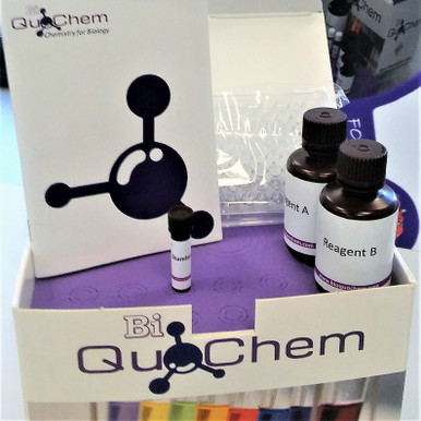 Nitrite Determination Assay Kit (Griess Reaction) | BQC-KB03009-100