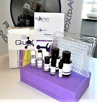 Catalase Activity Assay Kit | BQC-KB03012-100