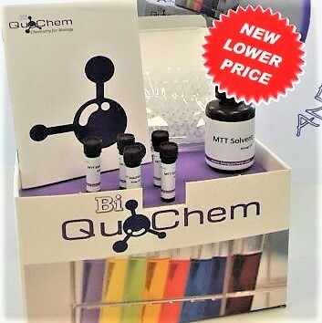 MTT Cell Proliferation Assay Kit A | BQC-KF03001A-500