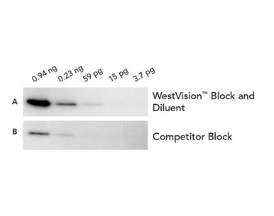 WestVision[TM] Block and Diluent for Western Blots
