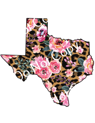 ColorSplash Ultra | Texas State 1