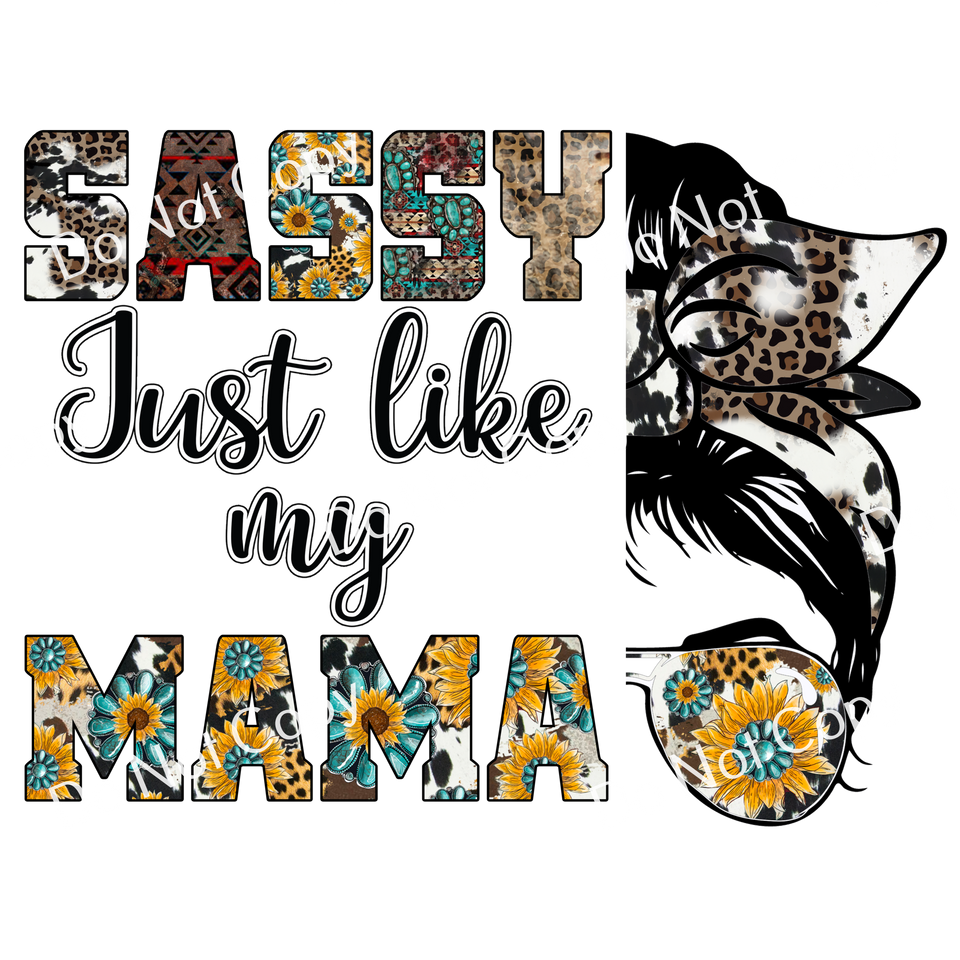 Colorsplash Ultra Sassy Like Mama Cf