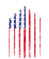 ColorSplash Ultra DTF Transfers | Vintage Air Force Flag CF