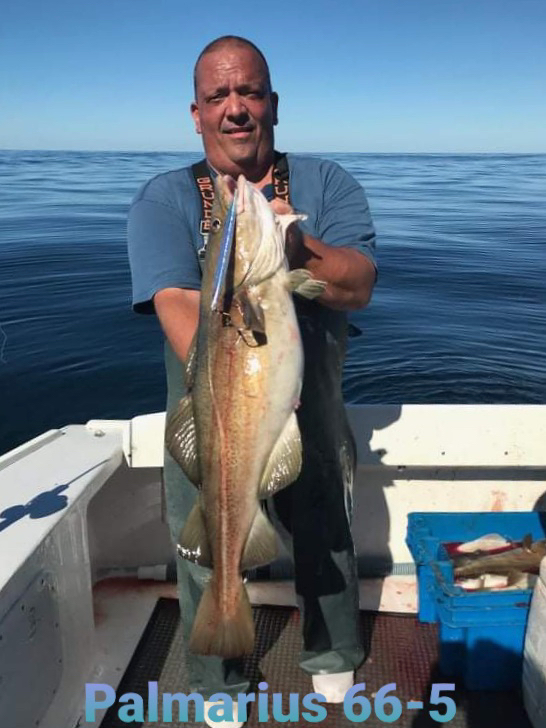 Slow Pitch Jigging for Cod ? Apparently so! - C.M. Tackle Inc. DBA ...