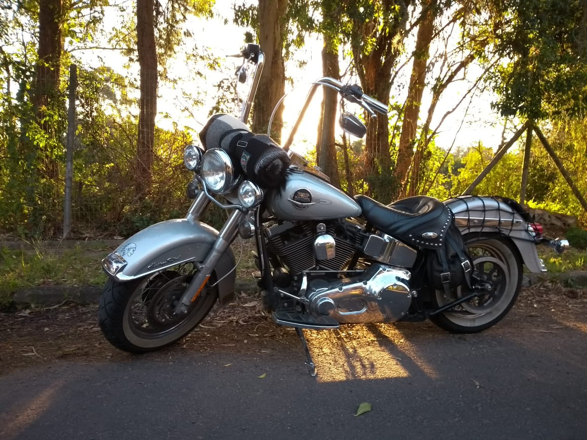 Ape Hanger Classic Robust Handlebars for Harley-Davidson Softail ...