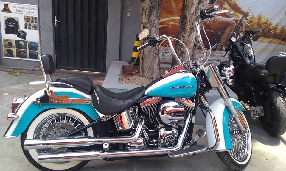 Ape Hanger Curve Robust 1.1/4" Handlebars for Harley-Davidson Softail ...