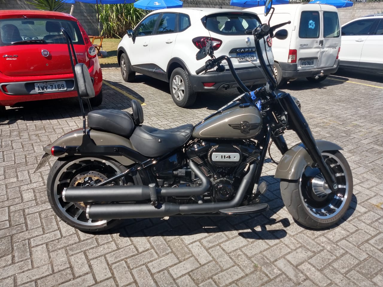 Ape Hanger Curve Robust 1.1/4" Handlebars for Harley-Davidson Softail ...