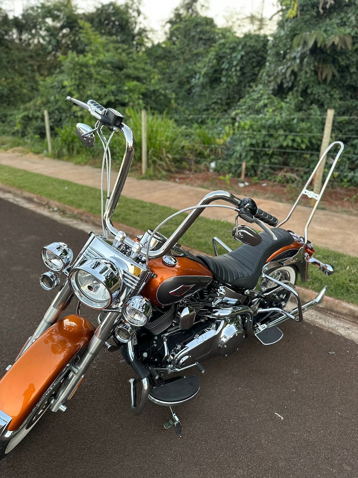 Ape Hanger Curve Brutale 1.1/2" Handlebars for Harley-Davidson Softail ...