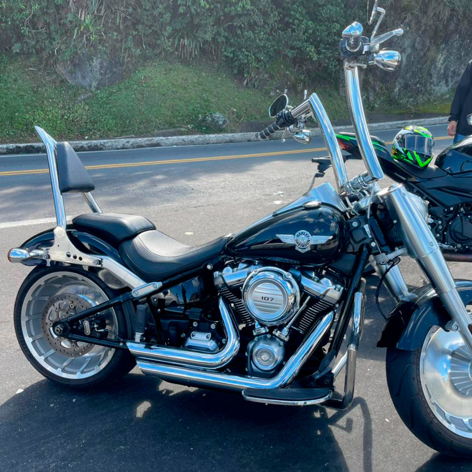 Sissy Bar Diablo/Passenger Backrest 23" Detachable for Harley-Davidson ...