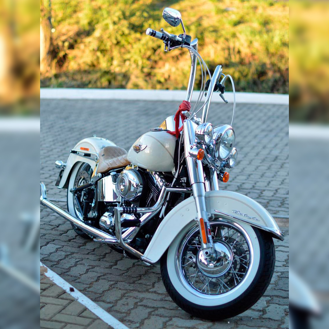 2022 Softail Slim Engine Guard