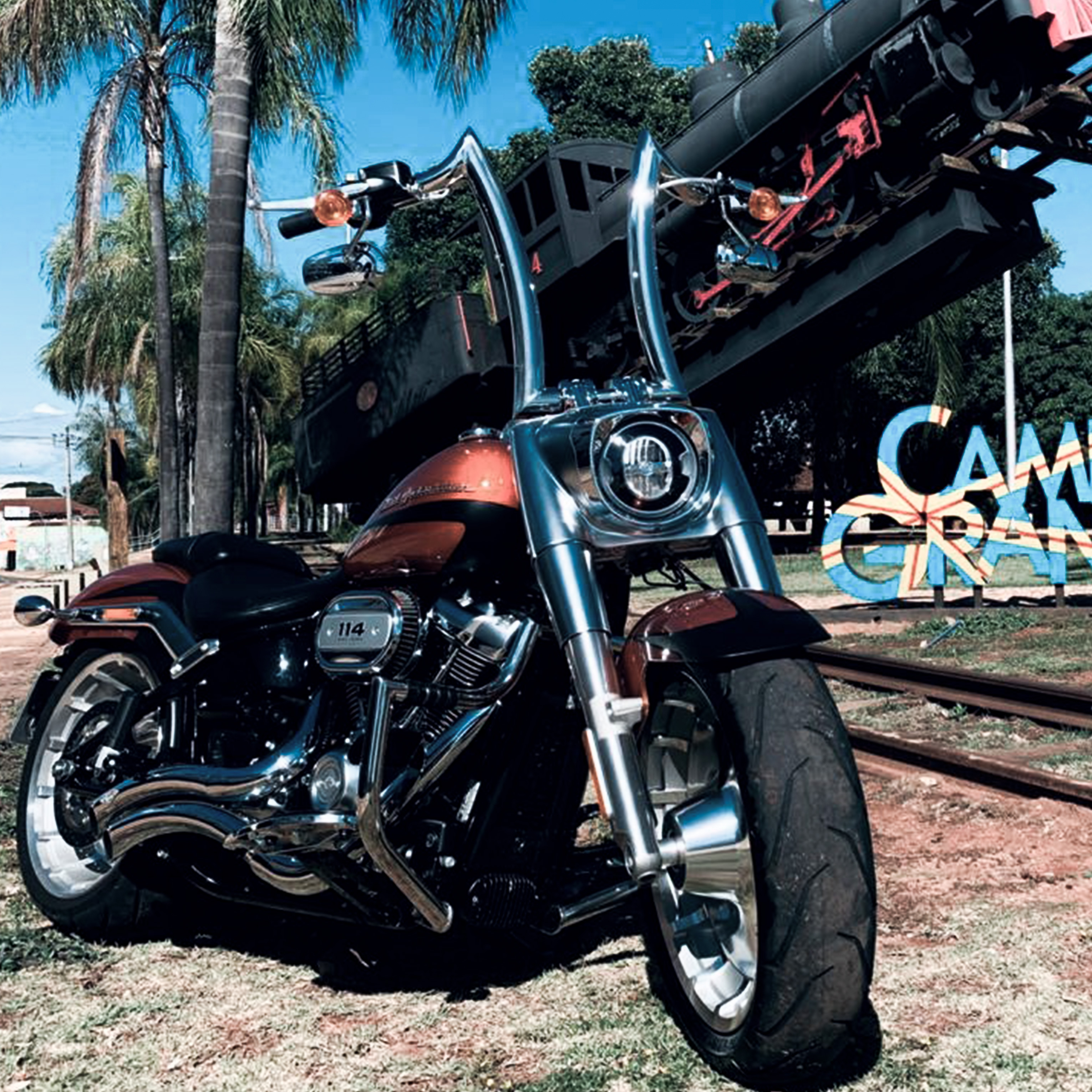 Diablo Rhino 2" Handlebars for Harley-Davidson Softail Fat Boy ...