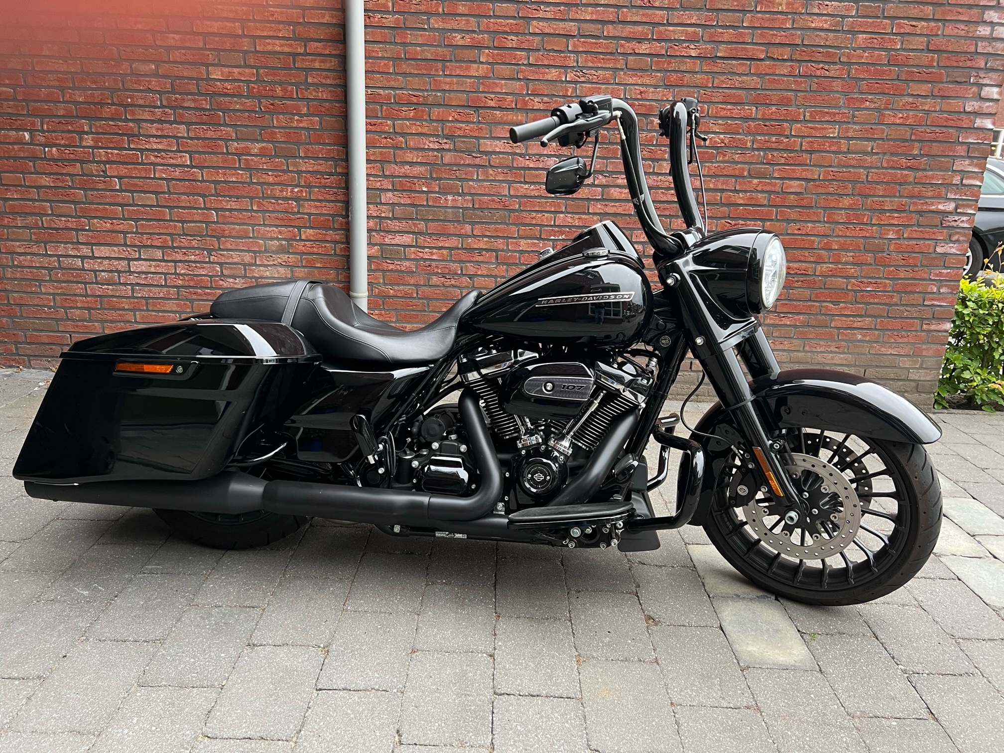 Road King With Apes