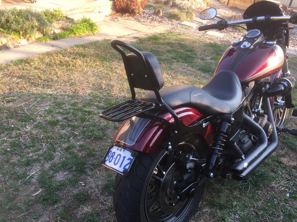 Sissy Bar King/Passenger Backrest 20" Detachable Luggage Rack for ...