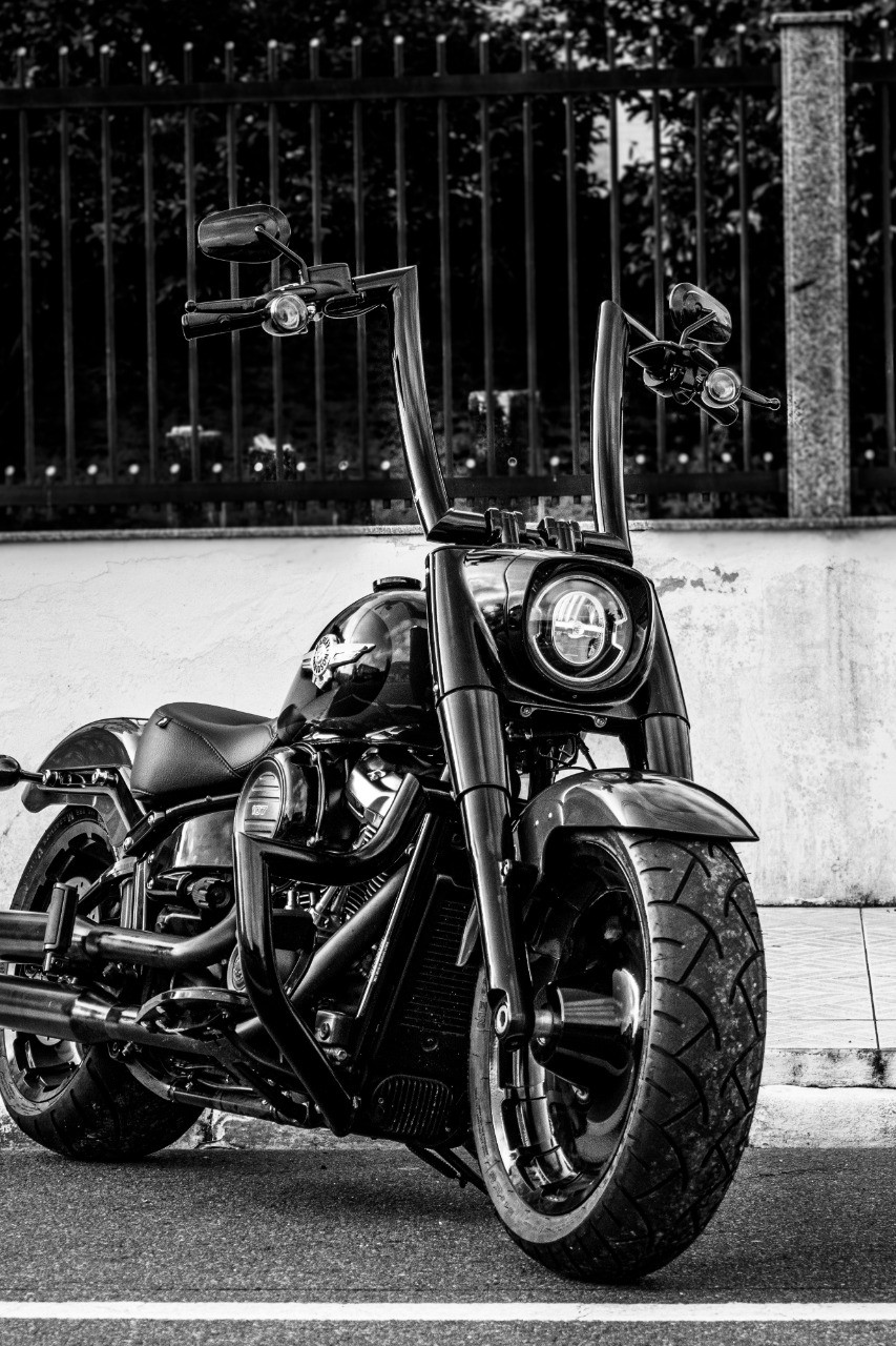 King Rhino 2" Engine Guard/Crash Bar for Harley-Davidson Softail ...