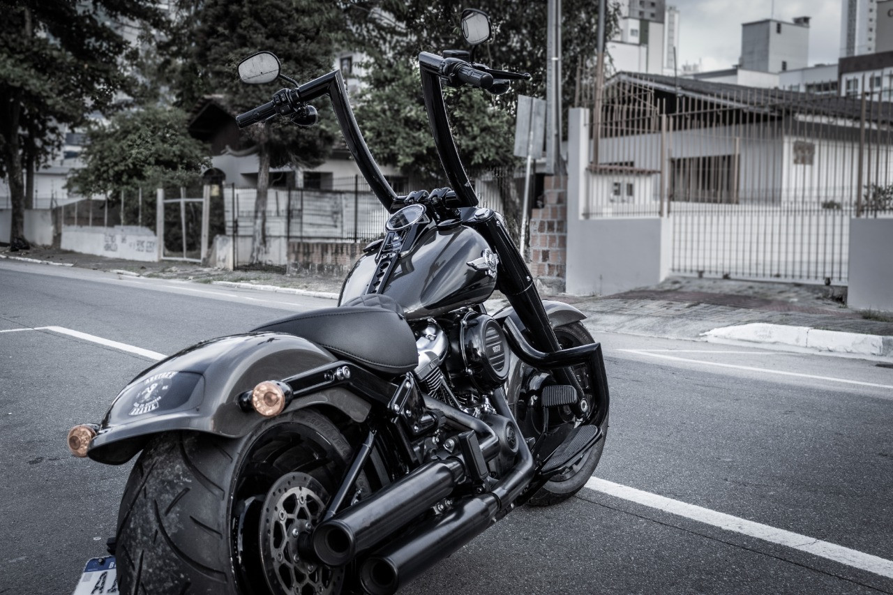 King Rhino 2" Engine Guard/Crash Bar for Harley-Davidson Softail ...