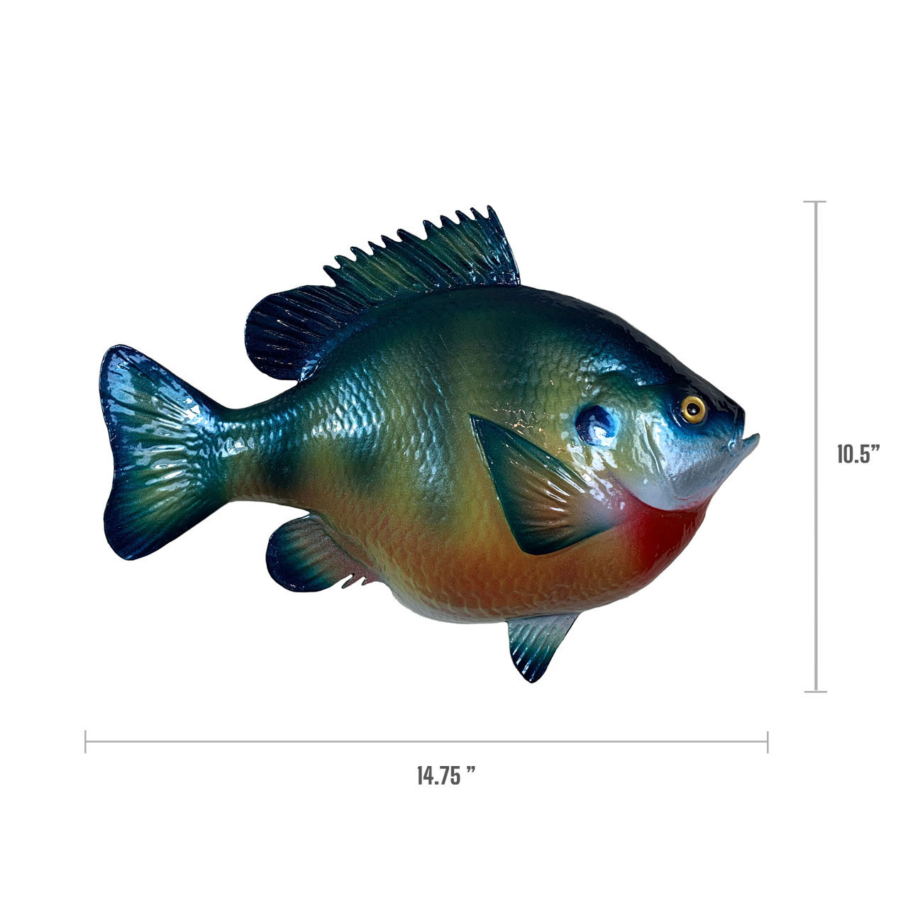 Bluegill Half Sided Fiberglass Fish Mount (14.75 inch) | MAKO Spearguns