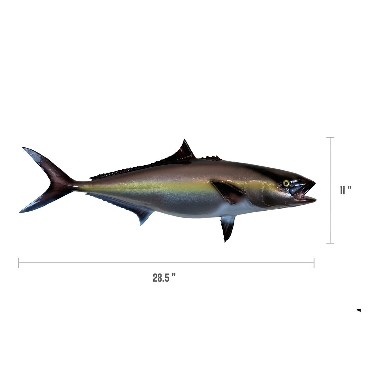 Spearfishing Accessories - Fiberglass Fish Mounts - MAKO Spearguns