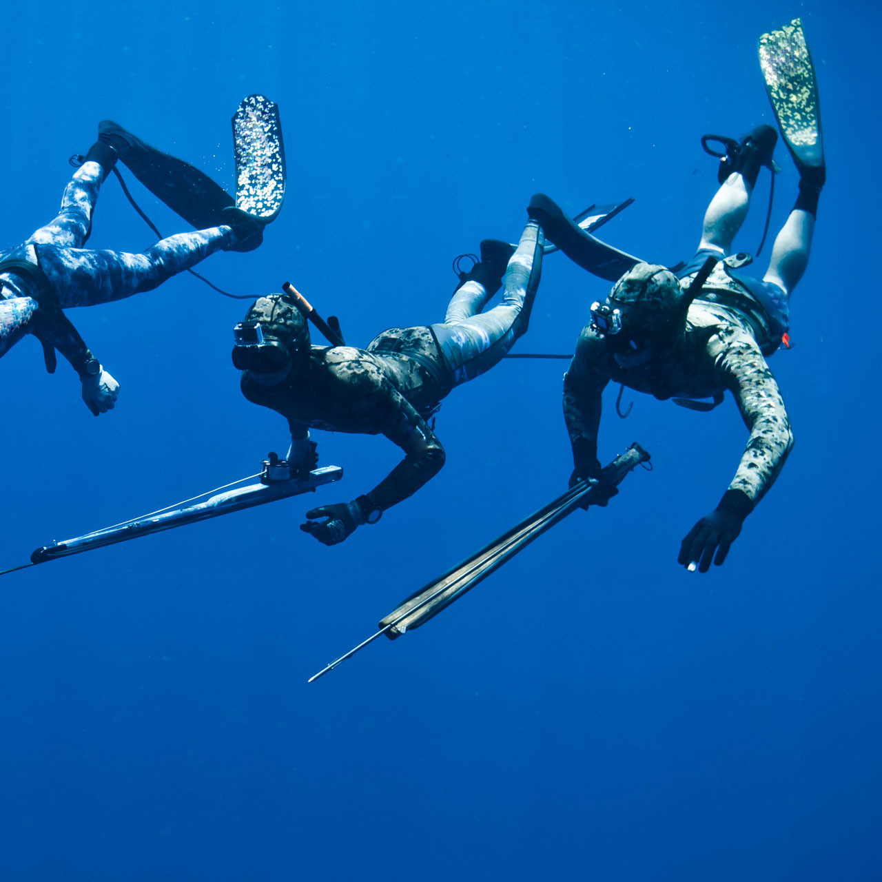 Ocean Guardian Shark Shield FREEDOM7