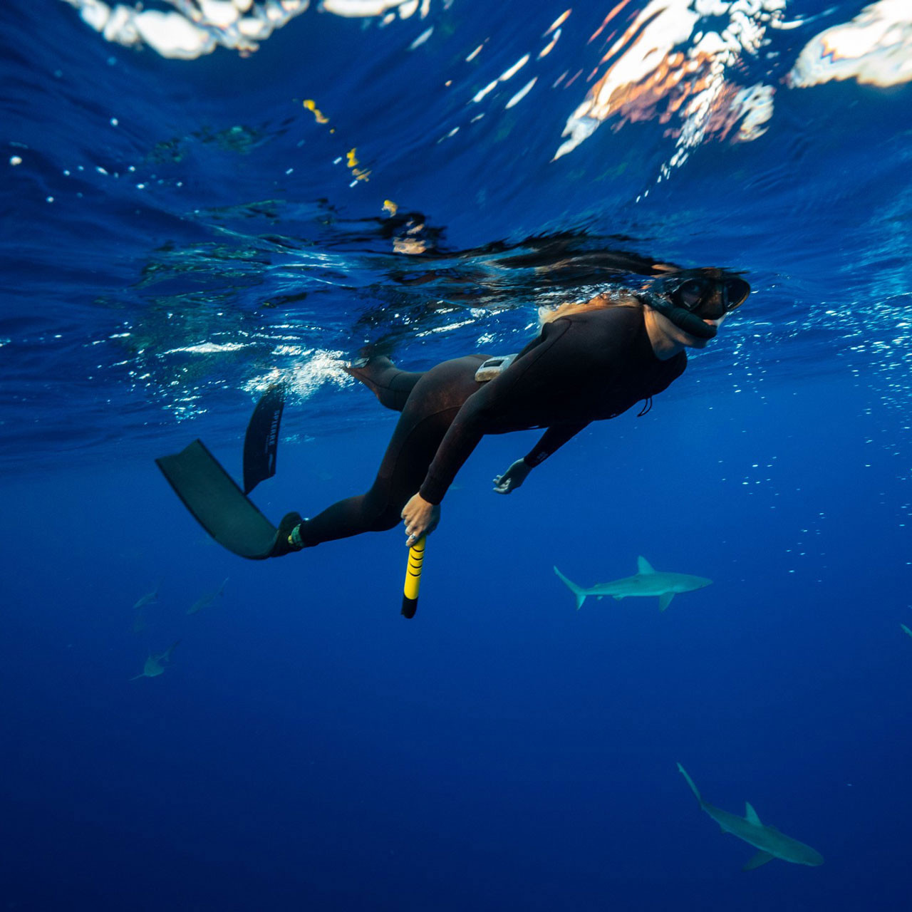 Ocean Guardian eSPEAR Handheld Shark Shield