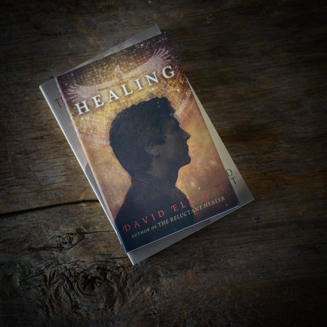 Store - Books - David Elliott