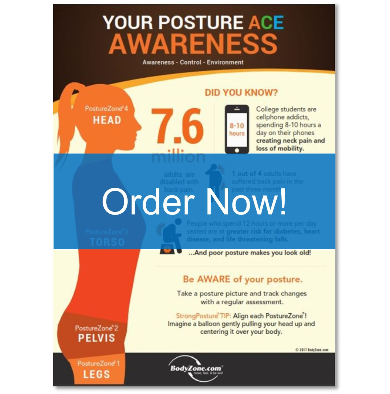 ACE Your Posture Poster Set