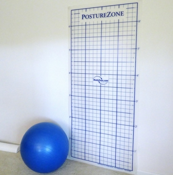 Posture Assessment Grid