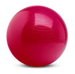 55cm Posture Exercise Ball