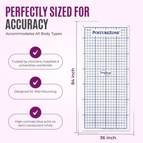 Posture Assessment Grid