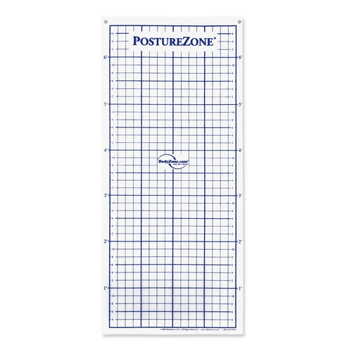 Posture Assessment Grid