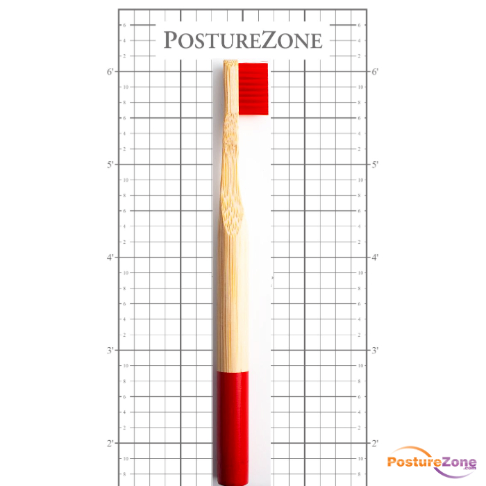 The Science Behind Posture, Airway and Oral Health - PostureZone