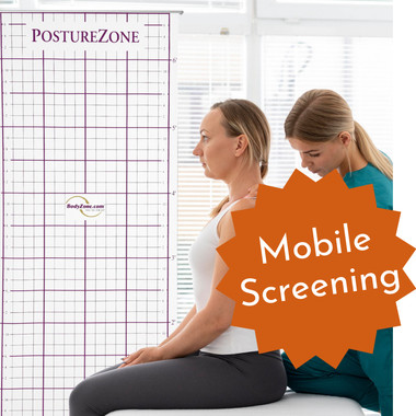 Portable Posture Grid for Assessment