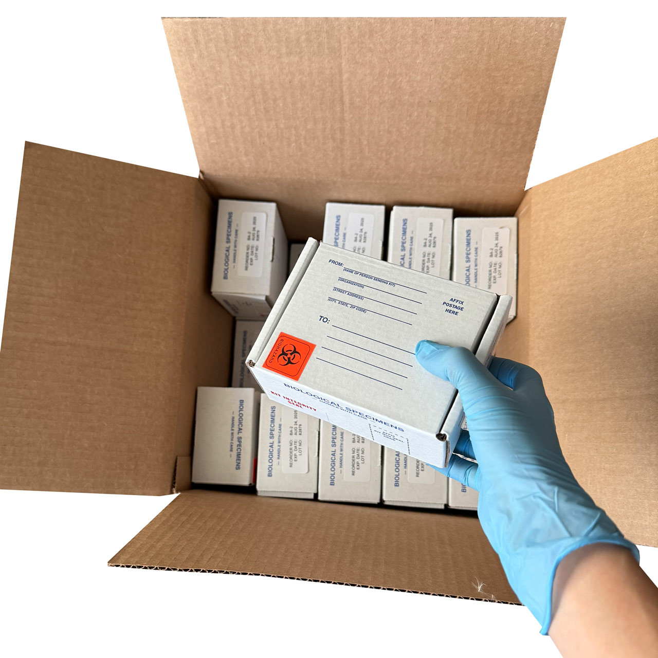 Blood Specimen Collection Kit