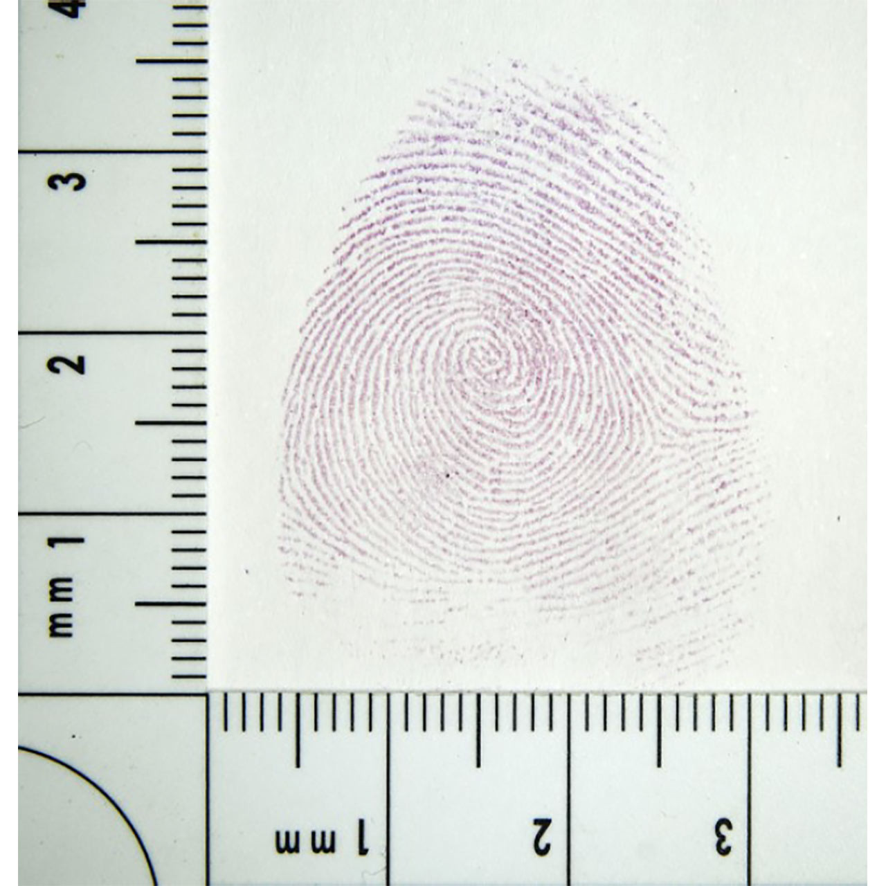 Ninhydrin Forensic Solution