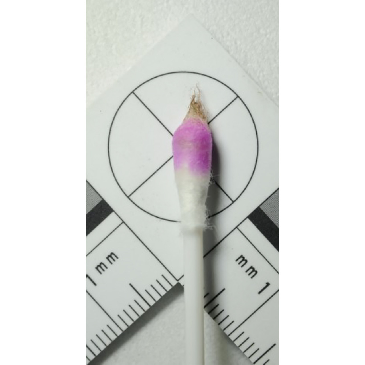 Phenolphthalein Presumptive Blood Test Phenolphthalein Presumptive Blood Test