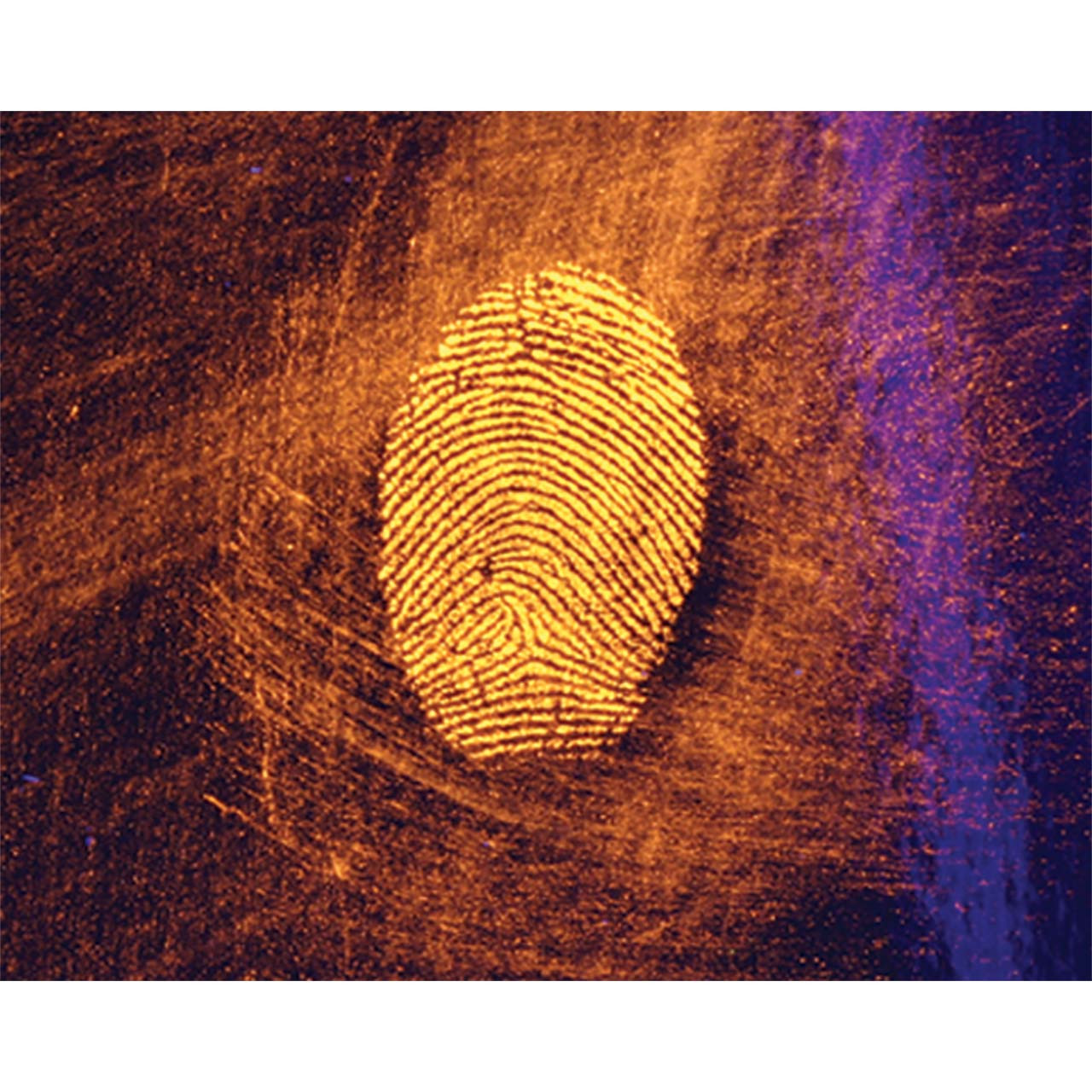 Fluorescent Atomic Latent Print Powder