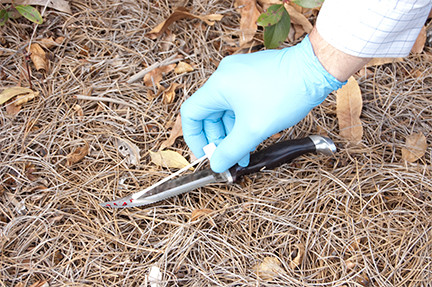 Swabs, Swab Boxes, and Swab Drying Racks
