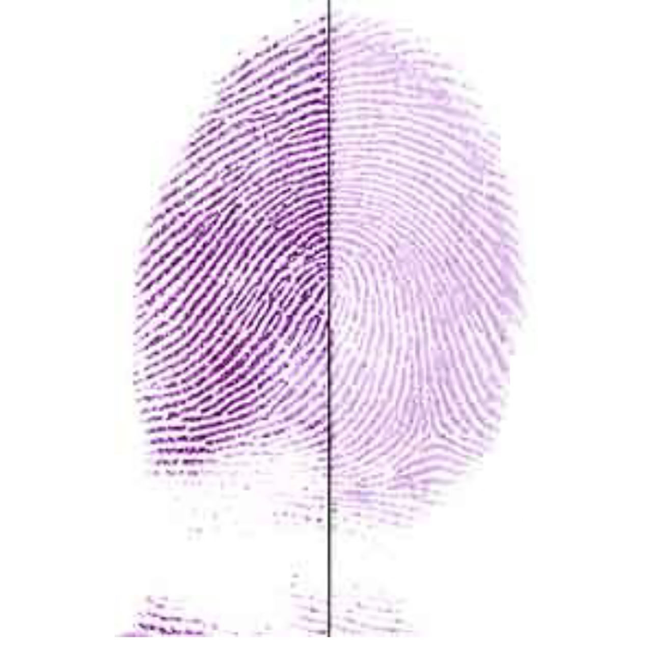 Ninhydrin Forensic Solution